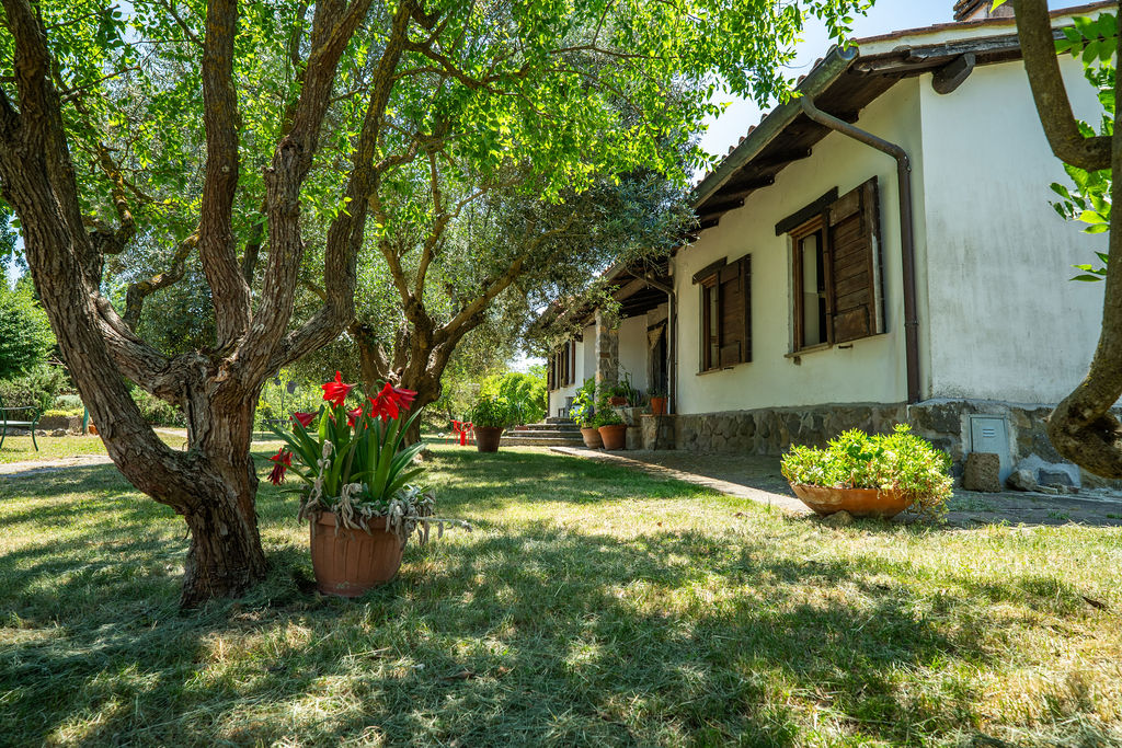 Charming stone farmhouse, Bomarzo
